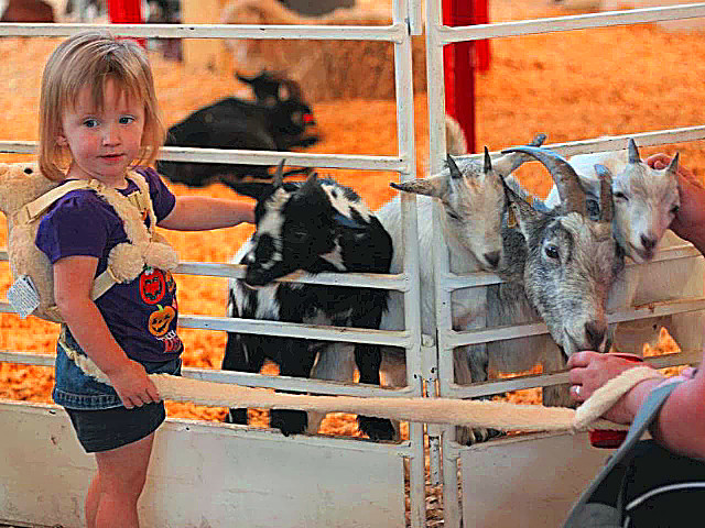 Around The World In One Display; interactive educational exotic animal ...