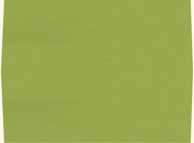 Hedrick's Camel-Ostrich-Zebra Races, extreme exotic animal racing ...